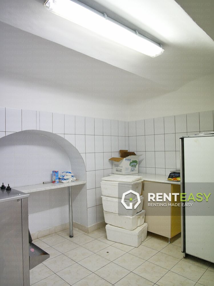 Spatiu pentru Productie de Inchiriat in Copou - Sararie | Spatii ...